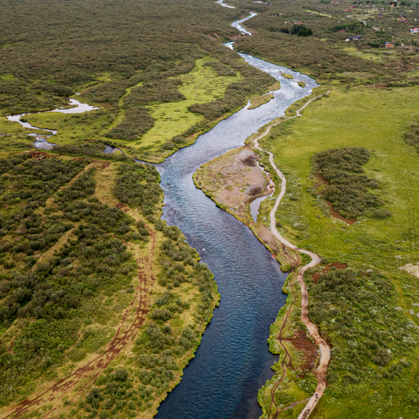 The SJP recognized a river as victim of the armed conflict in Colombia | Brigard Urrutia
